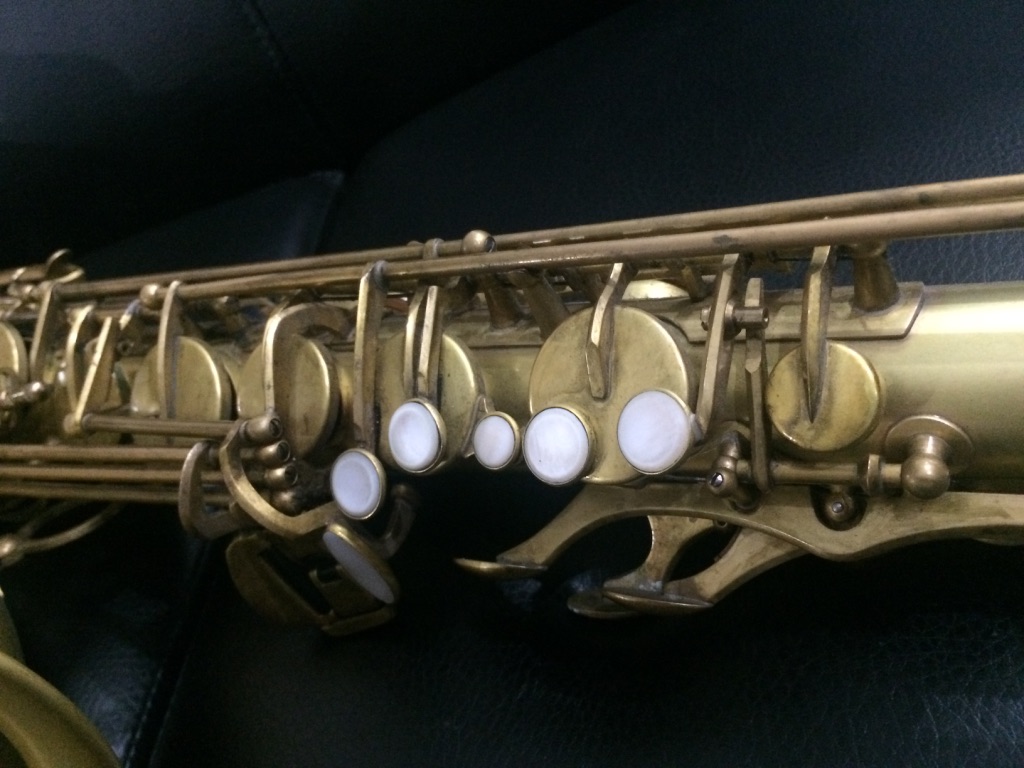 Lupifaro Platinum Series 5 | Hanson Music & Arts