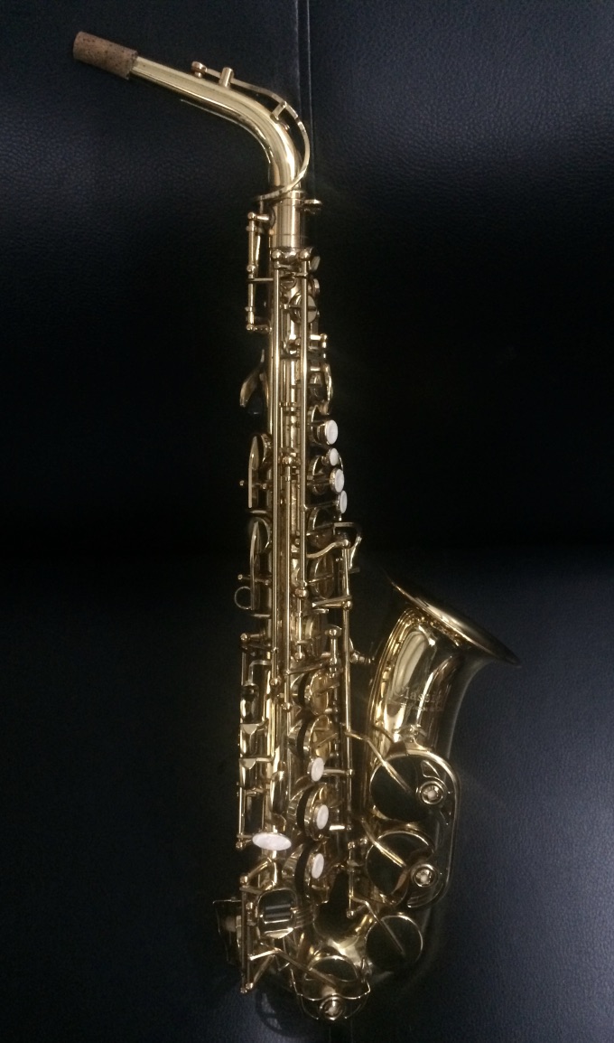 Trevor James classic alto saxophone 5 | Hanson Music & Arts